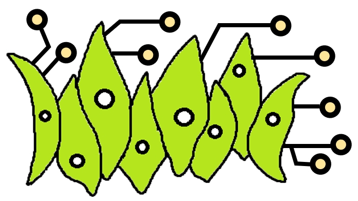 Yuezun Li's Homepage